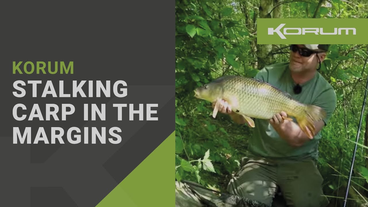 Opportunist Rods - Stalking carp in the margins - YouTube