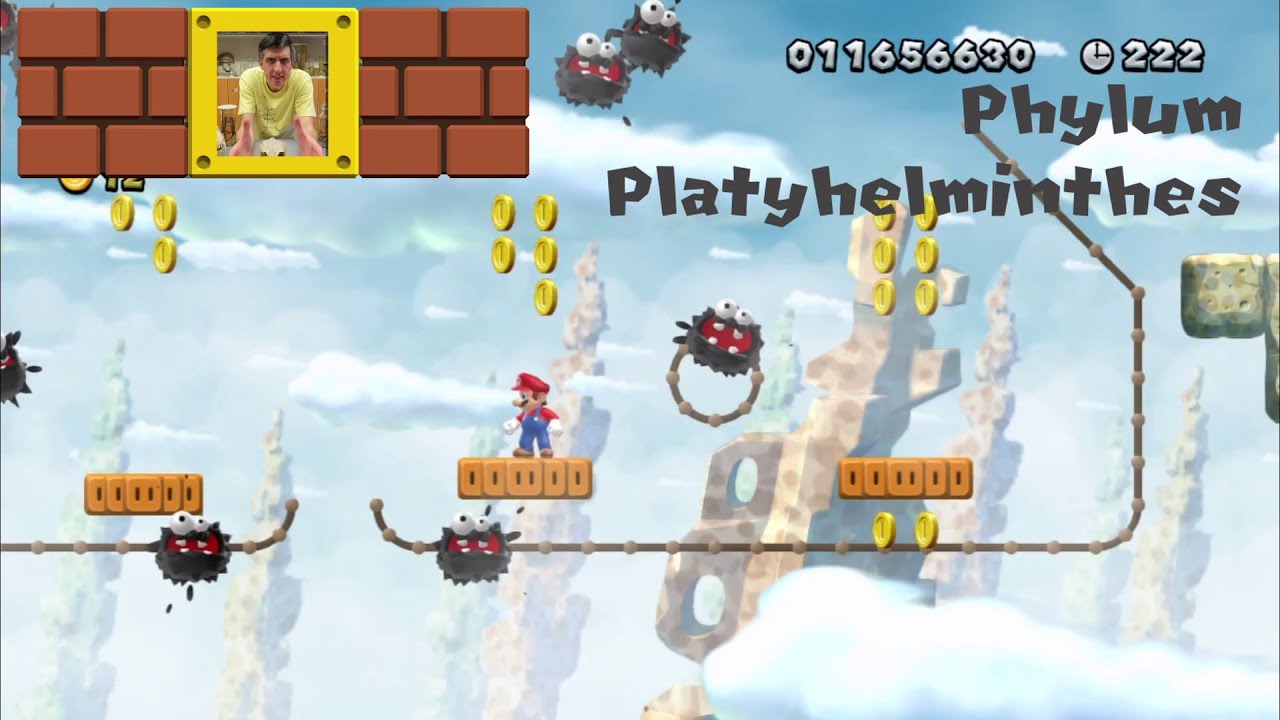 La ZOOLOGIA di SUPER MARIO - YouTube