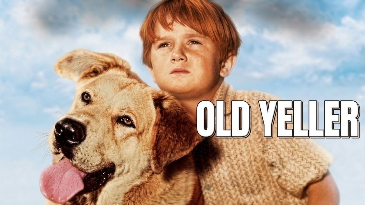 Old Yeller (1957) | Discover The Magic Of Old Yeller, The Legendary ...