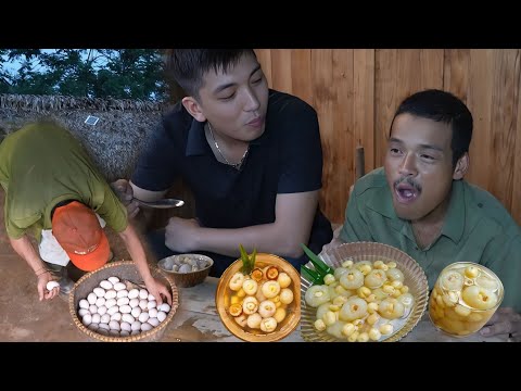 Çiftlikte Yumurta Hasadı: Büyükbaba İçin Tatlı Bir Lotus Tohumu Tatlısı