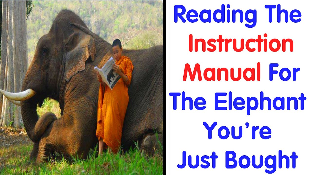 50 Weird Science Posts That Have Been Scientifically Proven To Be ...