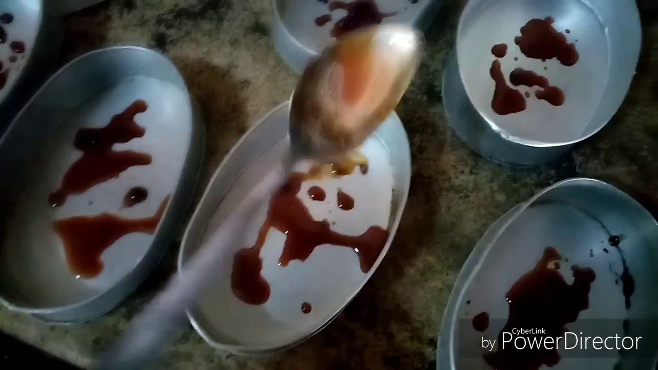 LECHE PLAN for Christmas 😊 - YouTube