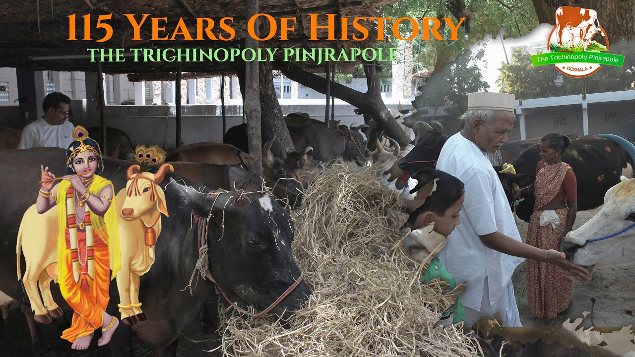 115 YEARS OF HISTORY THE TRICHINOPOLY PINJRAPOLE - YouTube