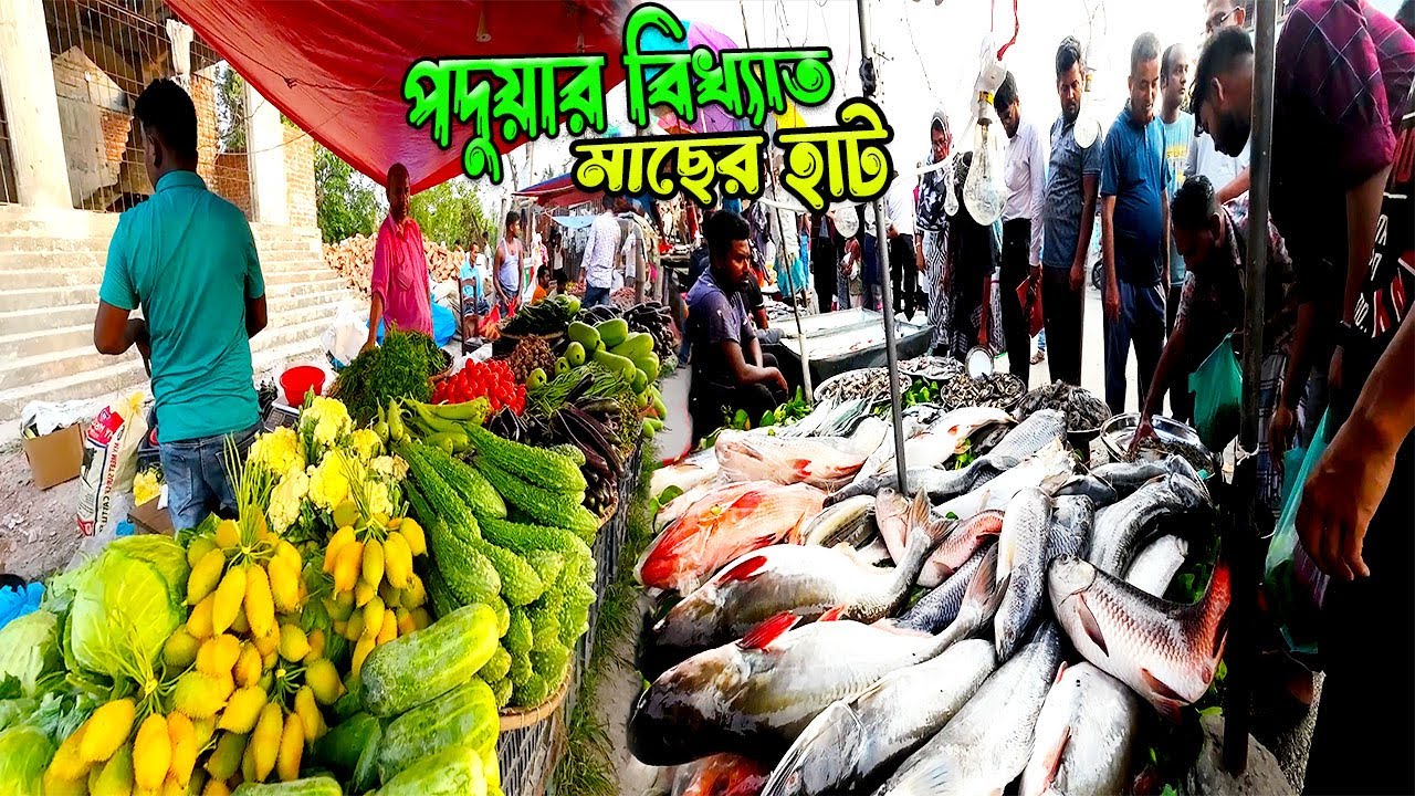 ঐতিহ্যবাহী পদুয়ার মাছের হাট | কুমিল্লা জেলা | Fish Market |Comilla Paduar Bazar | 2024 - YouTube