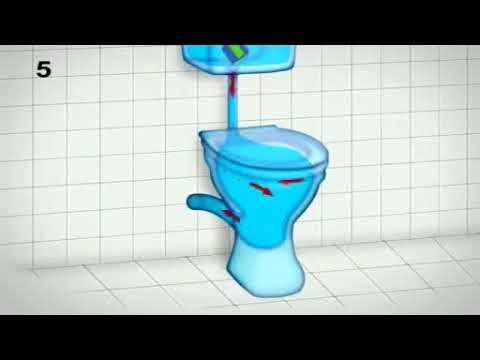 domestos soldiers