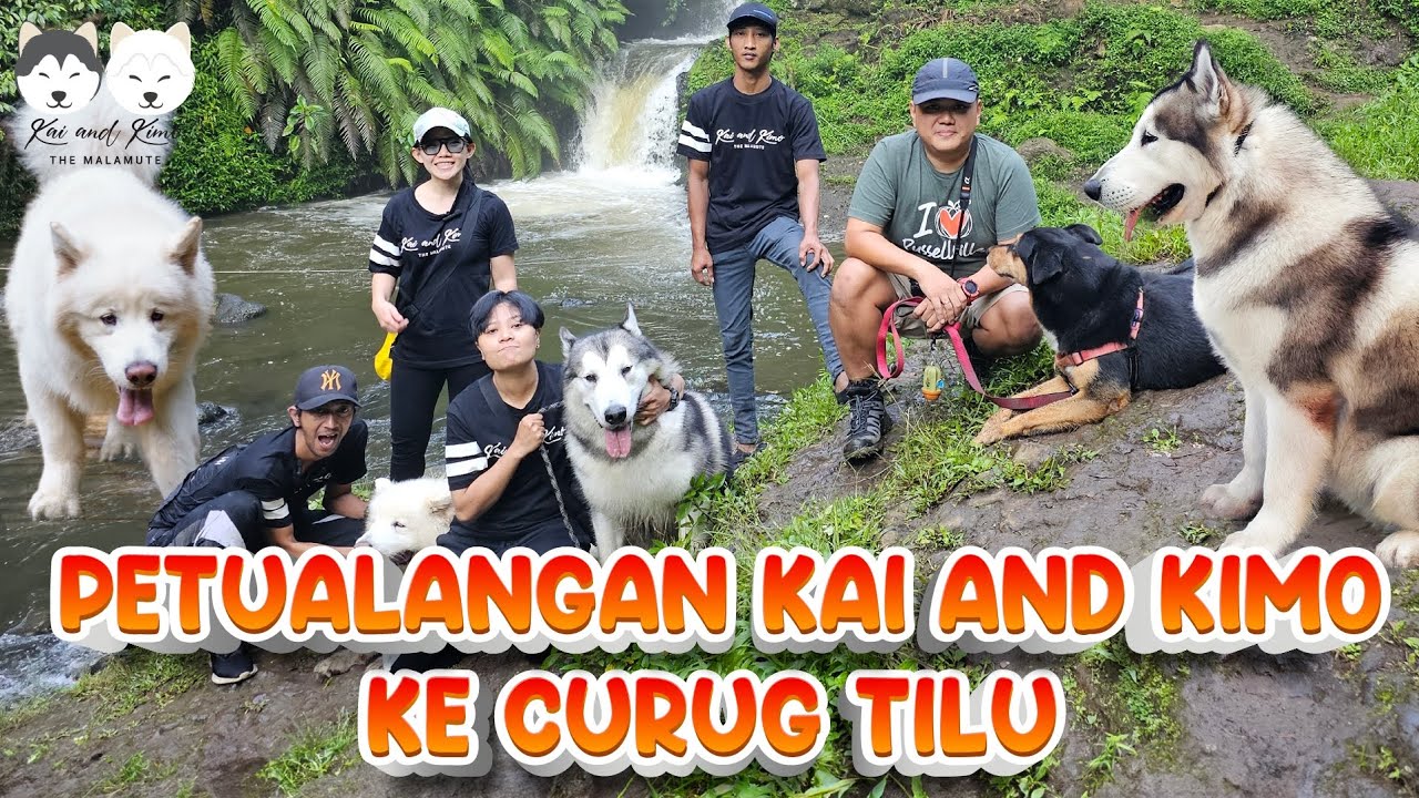 PETUALANGAN KAI & KIMO KE CIWANGUN INDAH CAMP - CURUG TILU ‼️ - YouTube
