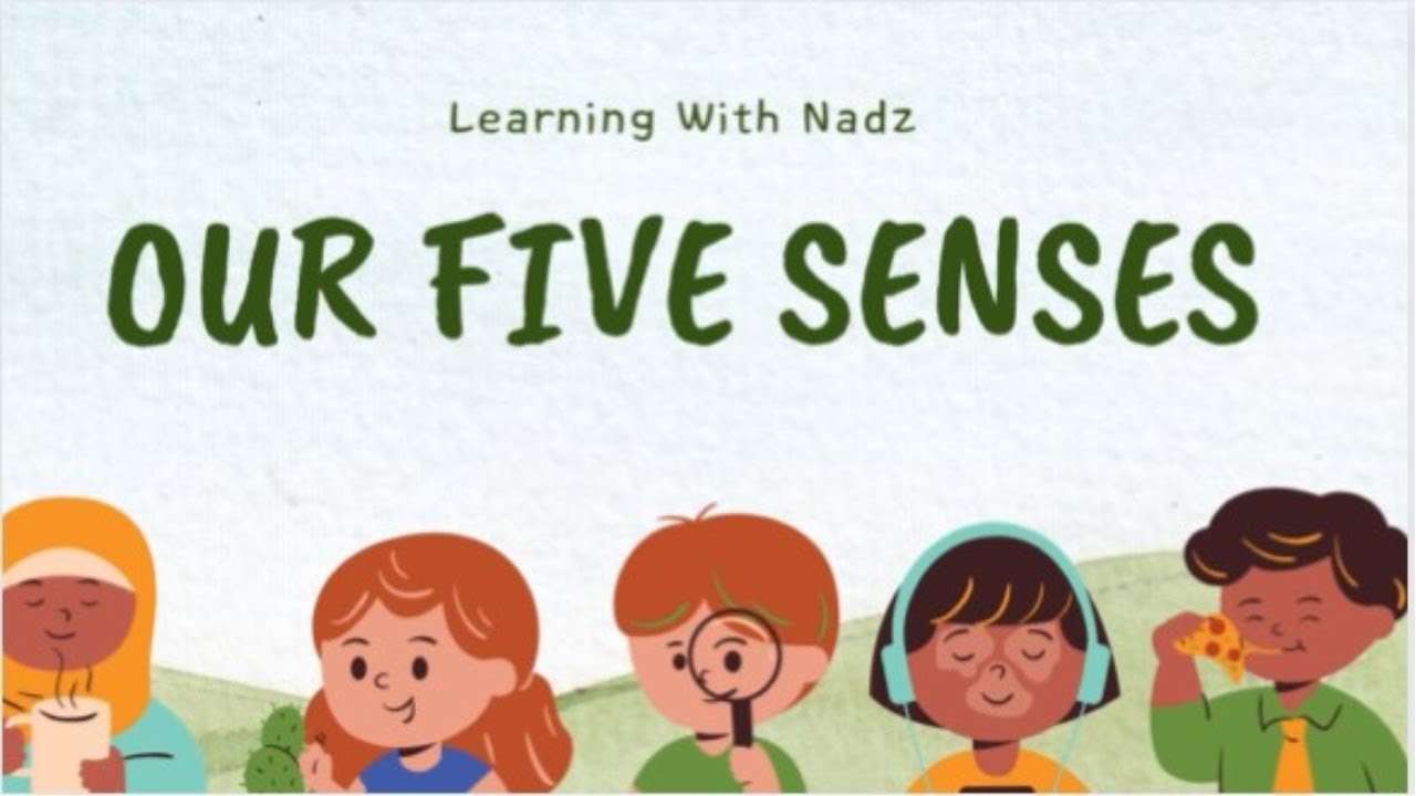 🌈 Explore Your Senses: Fun Learning for Kids! 🌟 - YouTube