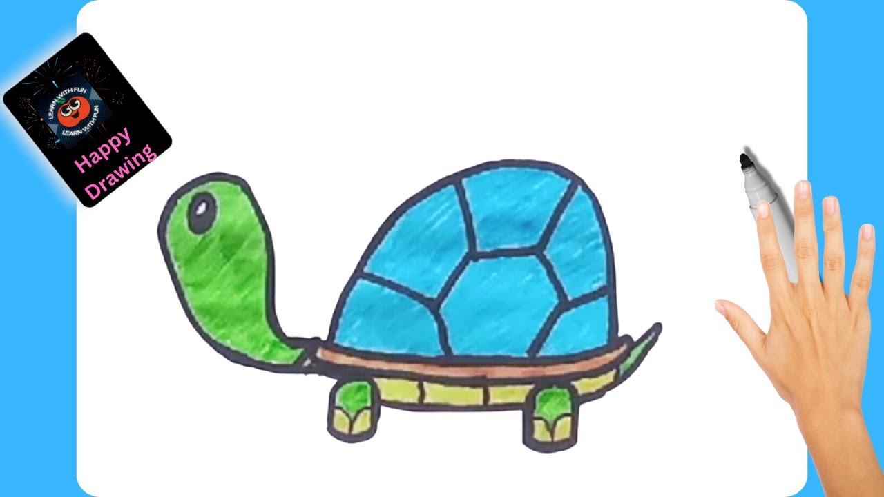 How to draw a turtle |tortoise draw |Kachhua ka drawing |drawing turtle ...