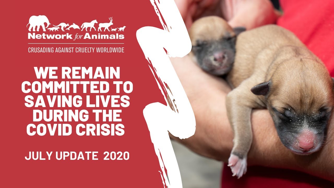 July 2020 Update:We continue to save lives during the Covid crisis ...