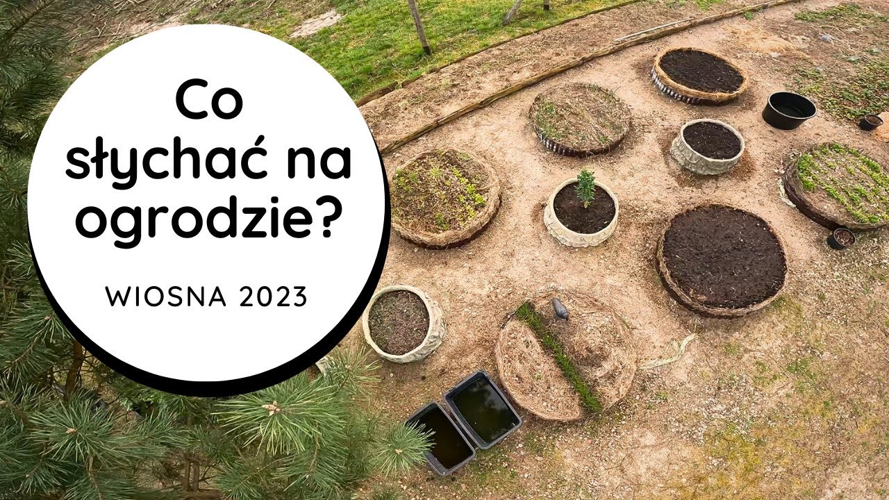 👩‍🌾Kwiecień w moim ogrodzie, wiosenne porządki i ORGANIZACJA ogrodu🌳🌴 ...