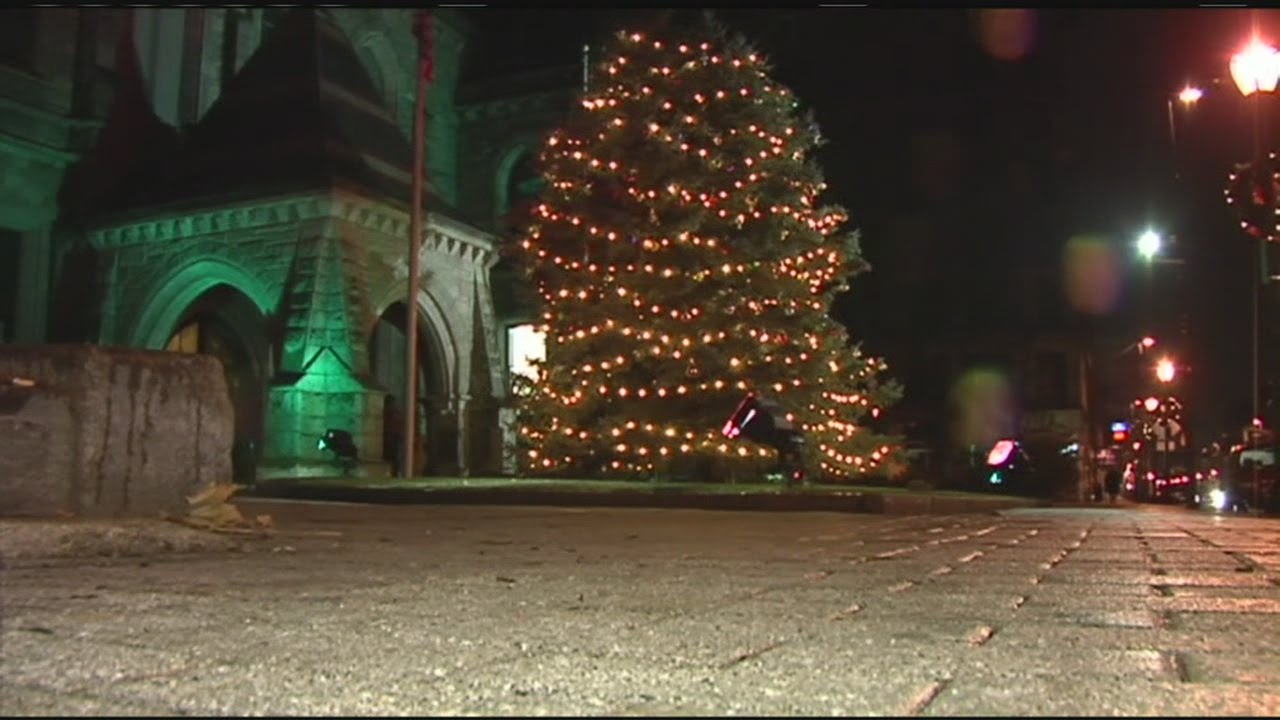 Holyoke tree name finally resolved - YouTube