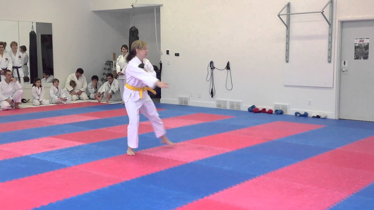 7th Kyu Test: Basics, Heian Nidan, Kumite | Shotokan Karate ...
