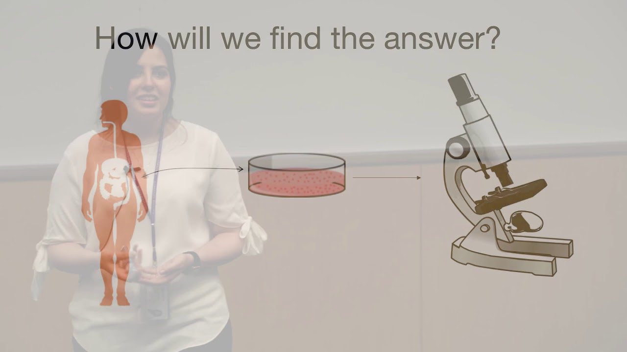 Understanding the Culprit of SAM Syndrome - YouTube