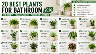 20 Bathroom Plants 2026