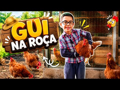 Mostrando as Galinhas e buscando os Ovos  🐔🥚