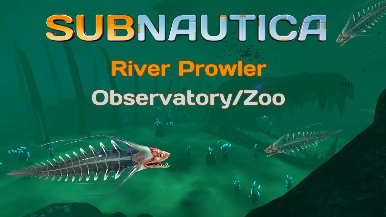 River Prowler Observatory/Zoo - YouTube