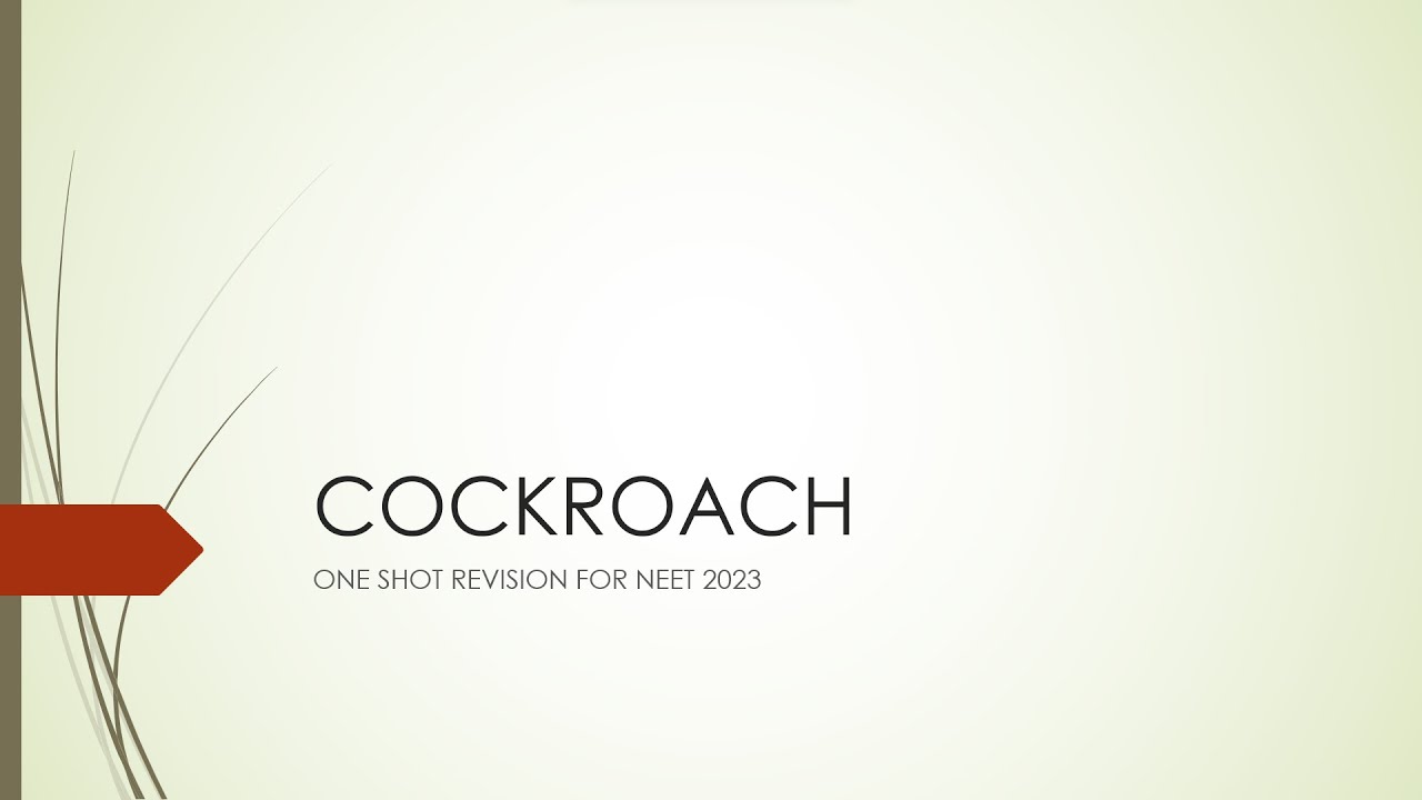 COCKROACH CLASS 11TH /ONE SHOT REVISION FOR NEET 2023 - YouTube
