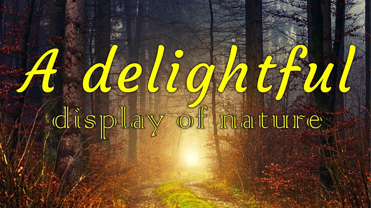 A delightful display of nature | 3 hour Relaxing calming beautiful ...