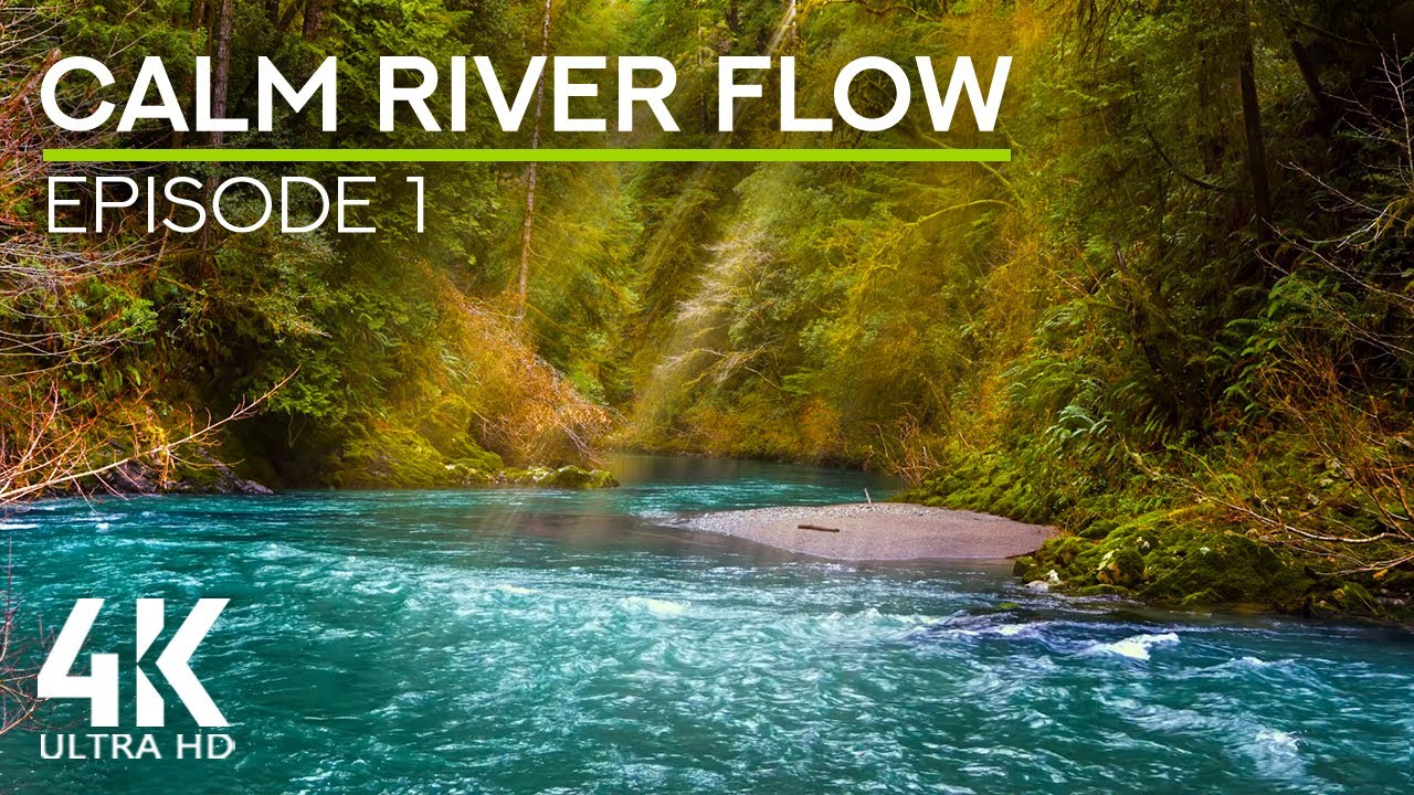 8 HRS Calm River Sounds & Birds Chirping in the Forest - Nature ...