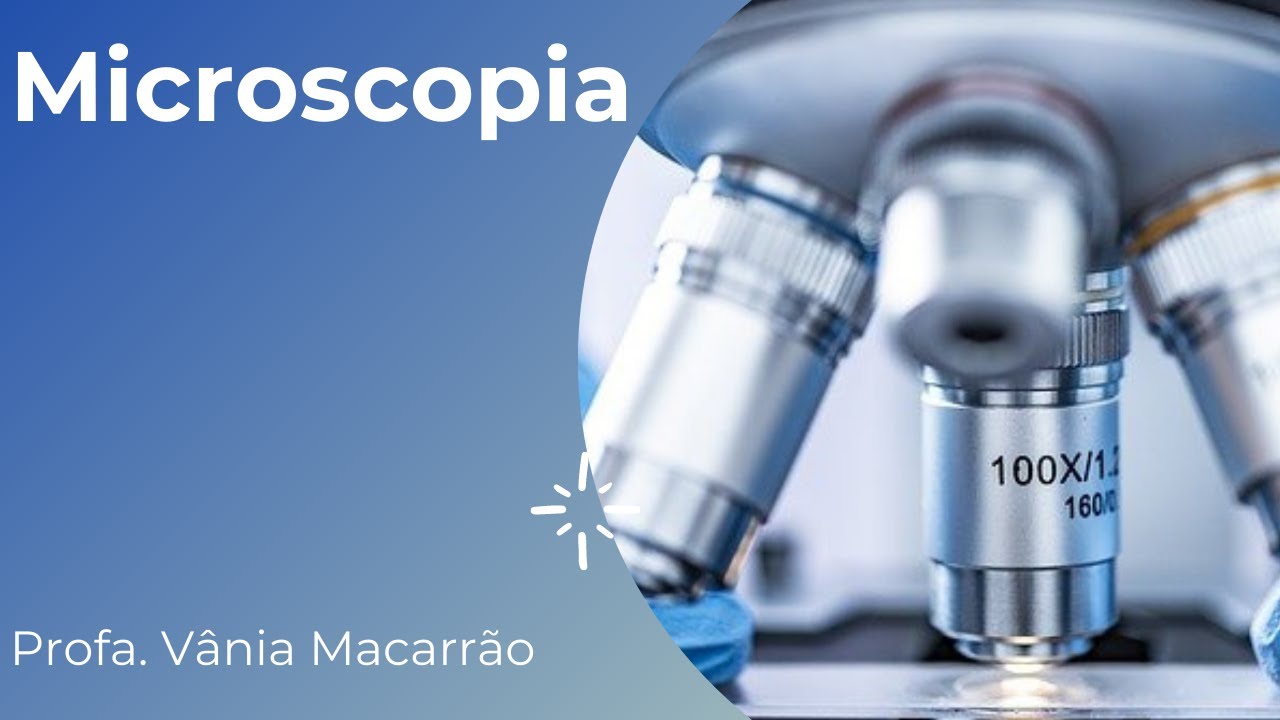 vídeo microscopia - YouTube