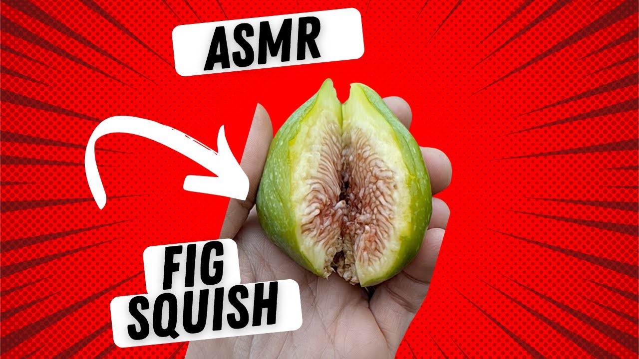 Experiment: Hand vs Fig -Slow Motion. Figs Are Weird!! ASMR Satisfying ...