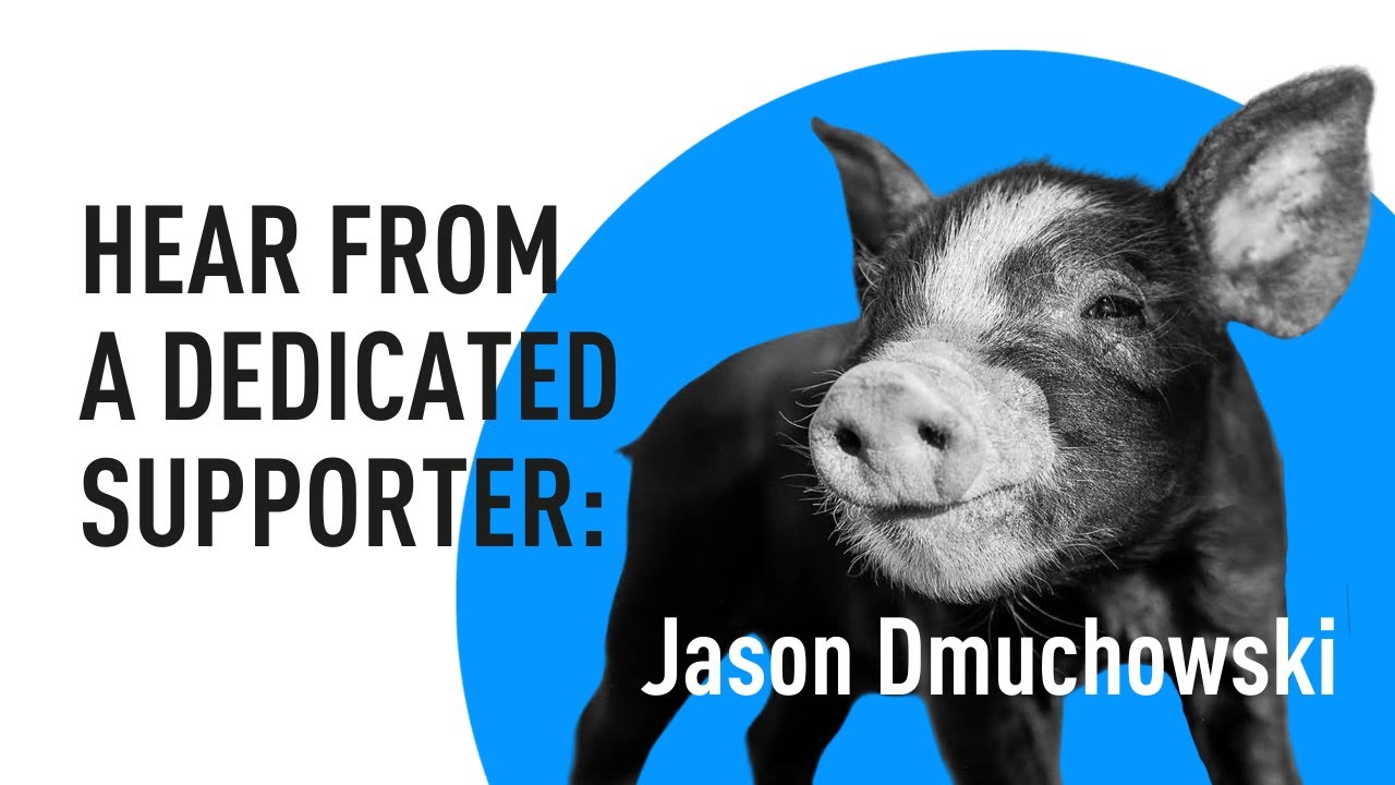 Here From a Dedicated Supporter: Jason Dmuchowski - YouTube