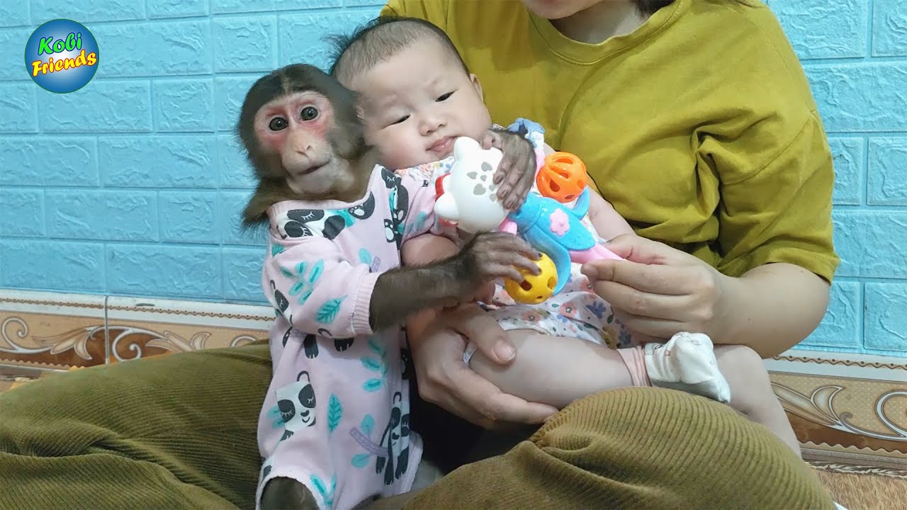 Monkey Kobi is always helpful and funny - YouTube