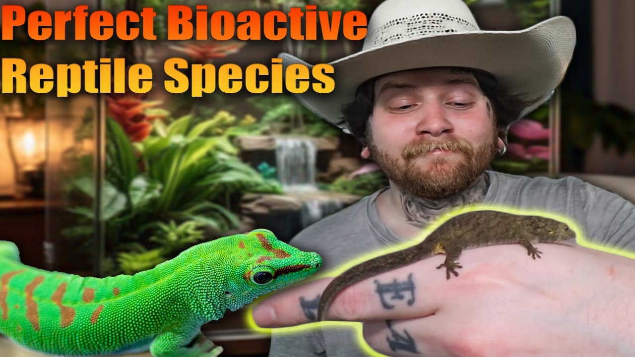 These Reptiles Are PERFECT For Bioactive Vivs! - YouTube