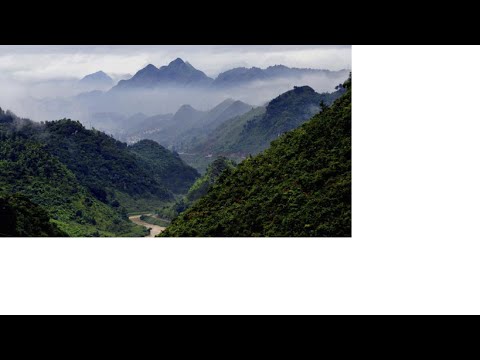 The Best of Ray Mears - YouTube