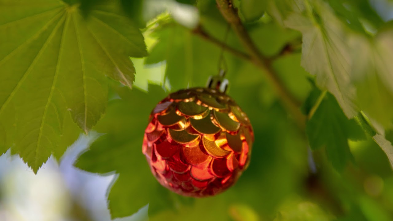The wishing tree in Portland Oregon - YouTube