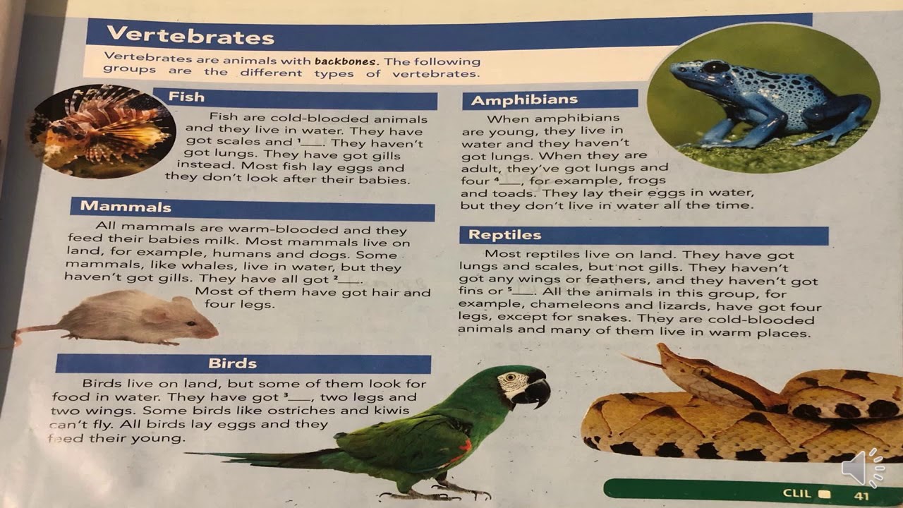 Natural science Animals - YouTube