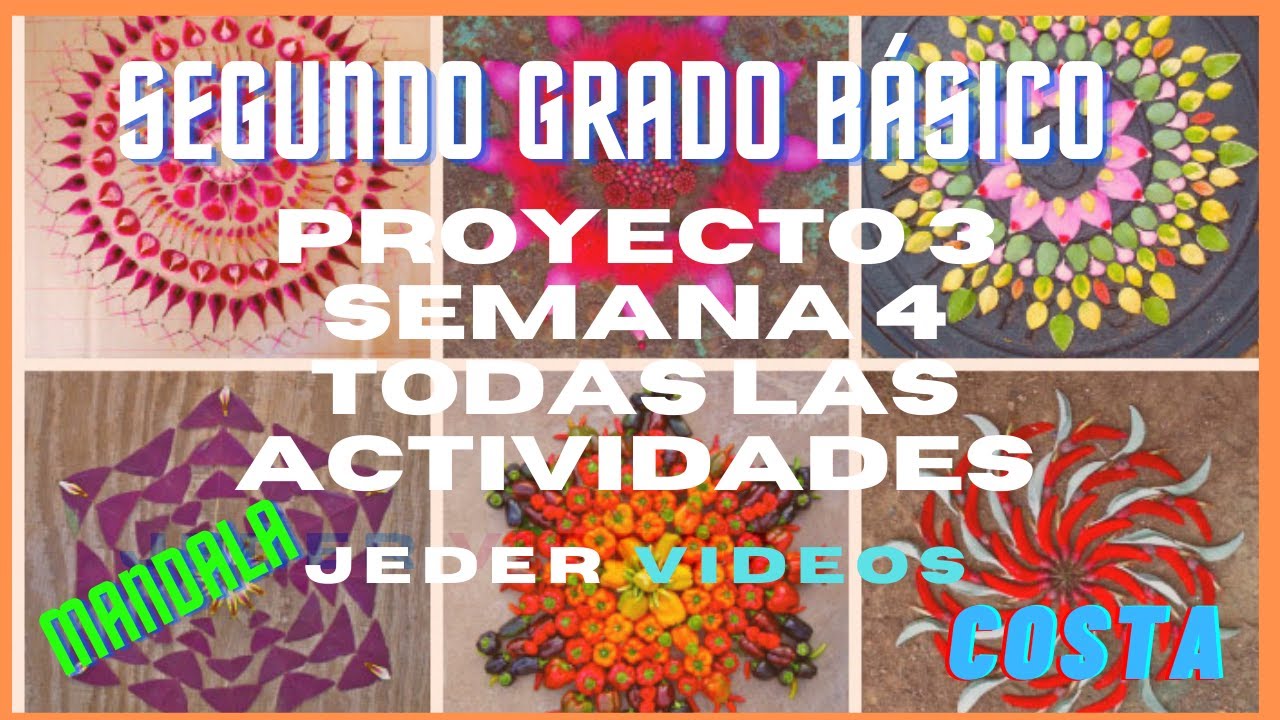 SEGUNDO GRADO BASICO SEMANA 3 ACTIVIDAD 1,2,3,4 Y 5 PROYECTO 3 FINAL ...