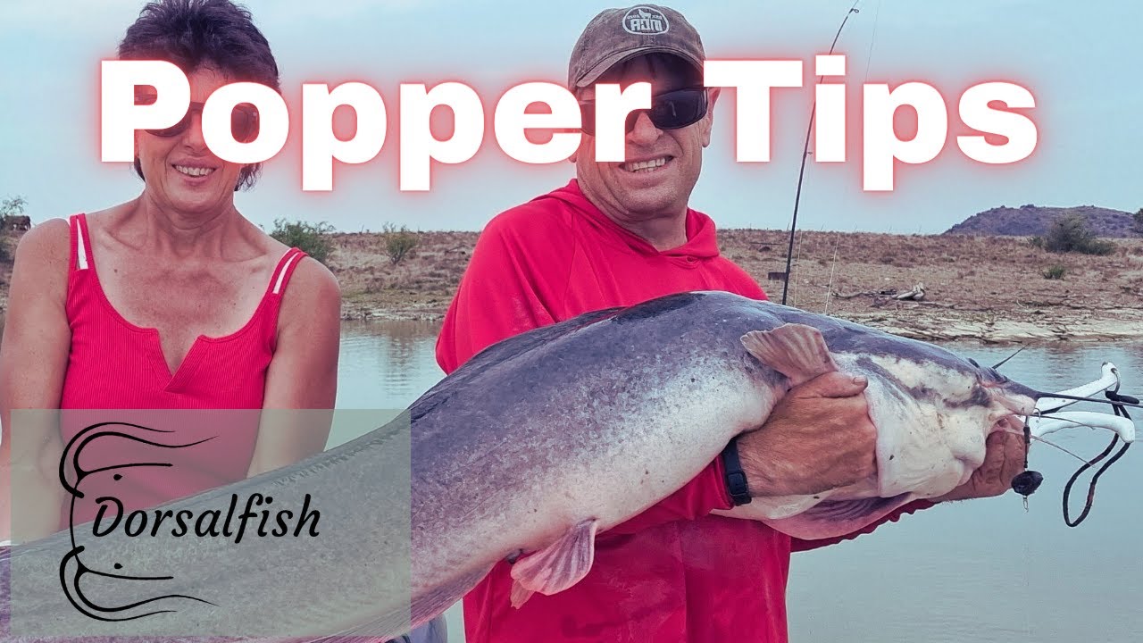 Popper tips wat jou kan help! (Popping/prop vir baber /catfish / barbel ...