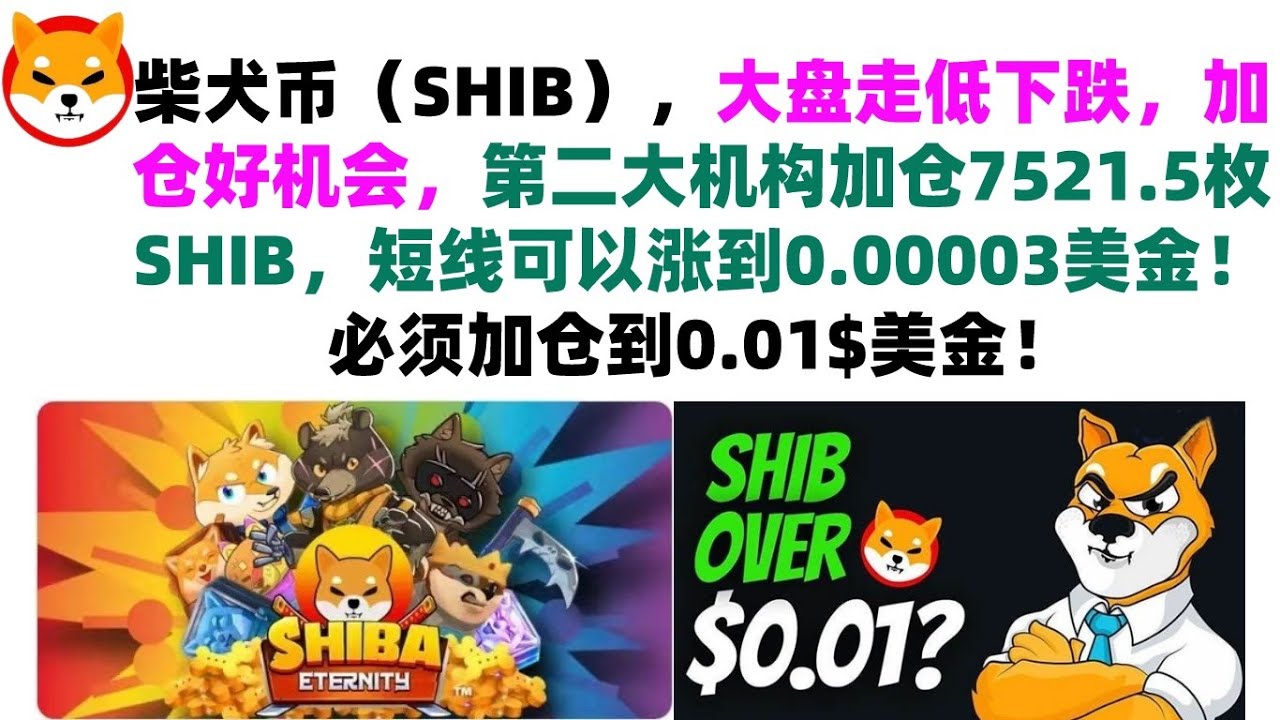 柴犬币（SHIB），大盘走低下跌，加仓好机会，第二大机构加仓7521.5枚SHIB，短线可以涨到0.00003美金！必须加仓到0.01$美金！shib币|柴犬币|屎币行情分析！ - YouTube