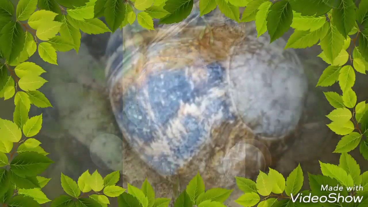 Sprotbrough Flash Nature Reserve - YouTube