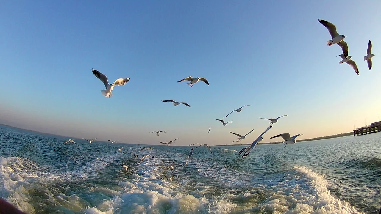 ST Martin/ Saint Martin Tour. - YouTube