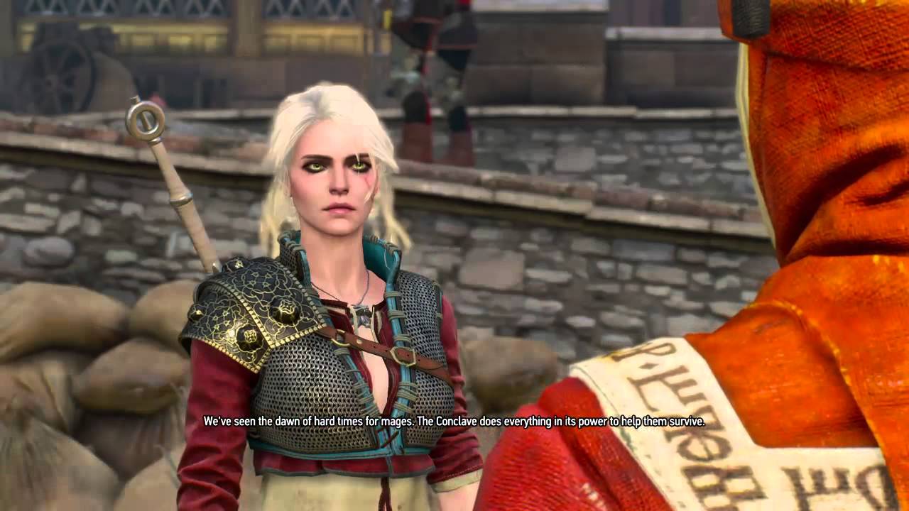 The Witcher 3 Head of Conclave of Mages - YouTube