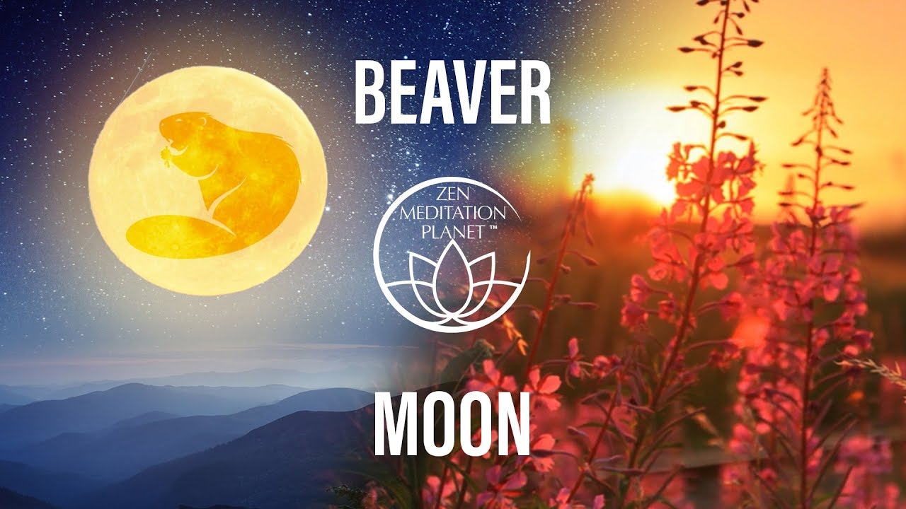Beaver Moon – Full Moon Meditation in November – Water & Earth Nature ...