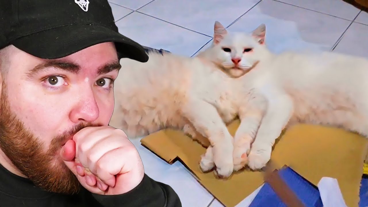 Randolph Laughs at the FUNNIEST Memes - YouTube