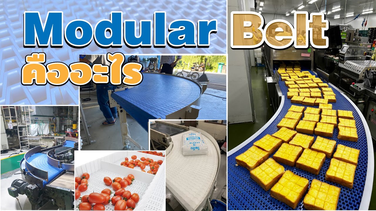 Ep.224 Modular Belt คืออะไร - YouTube