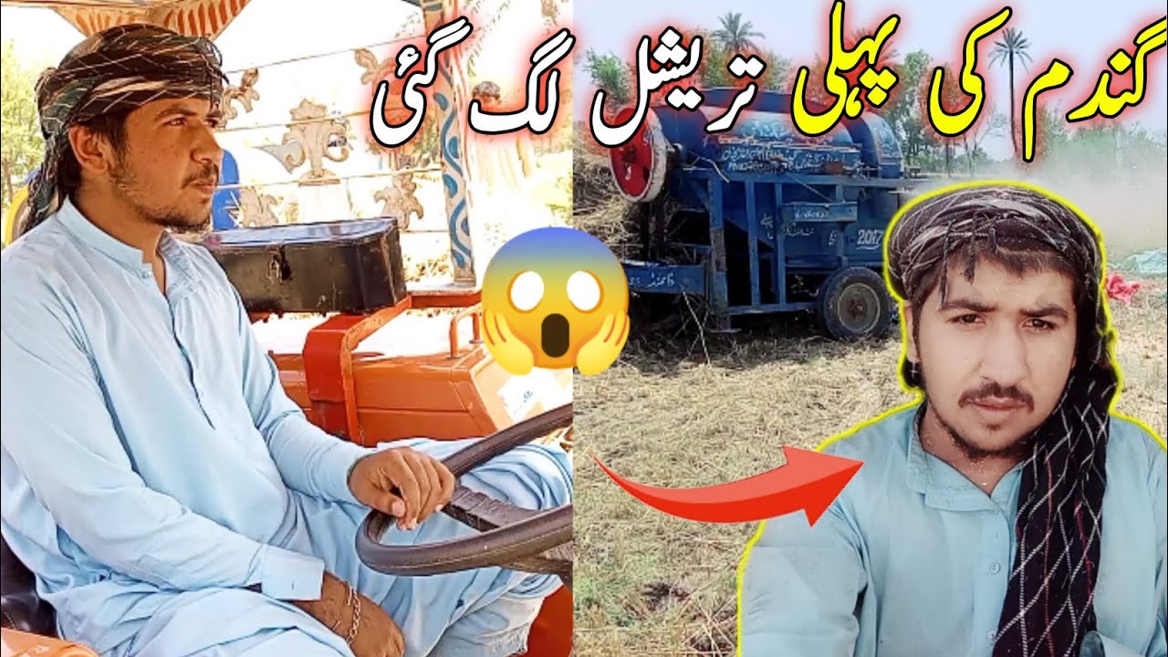 Gandum Ki Pehli Thresher Lag Gyi l pure Punjab village in Pakistan ...