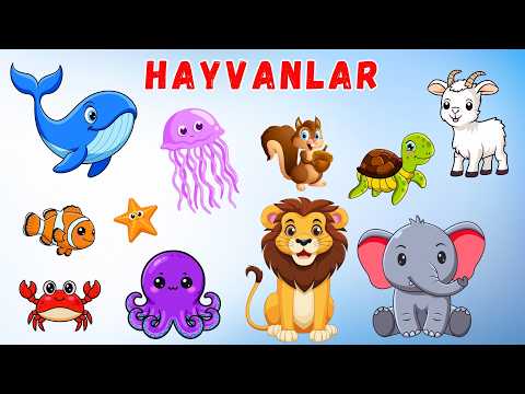🐶🐠 Kara ve Su Hayvanlarını Öğreniyoruz! | Çocuklar İçin Eğitici Video🔴Canlı