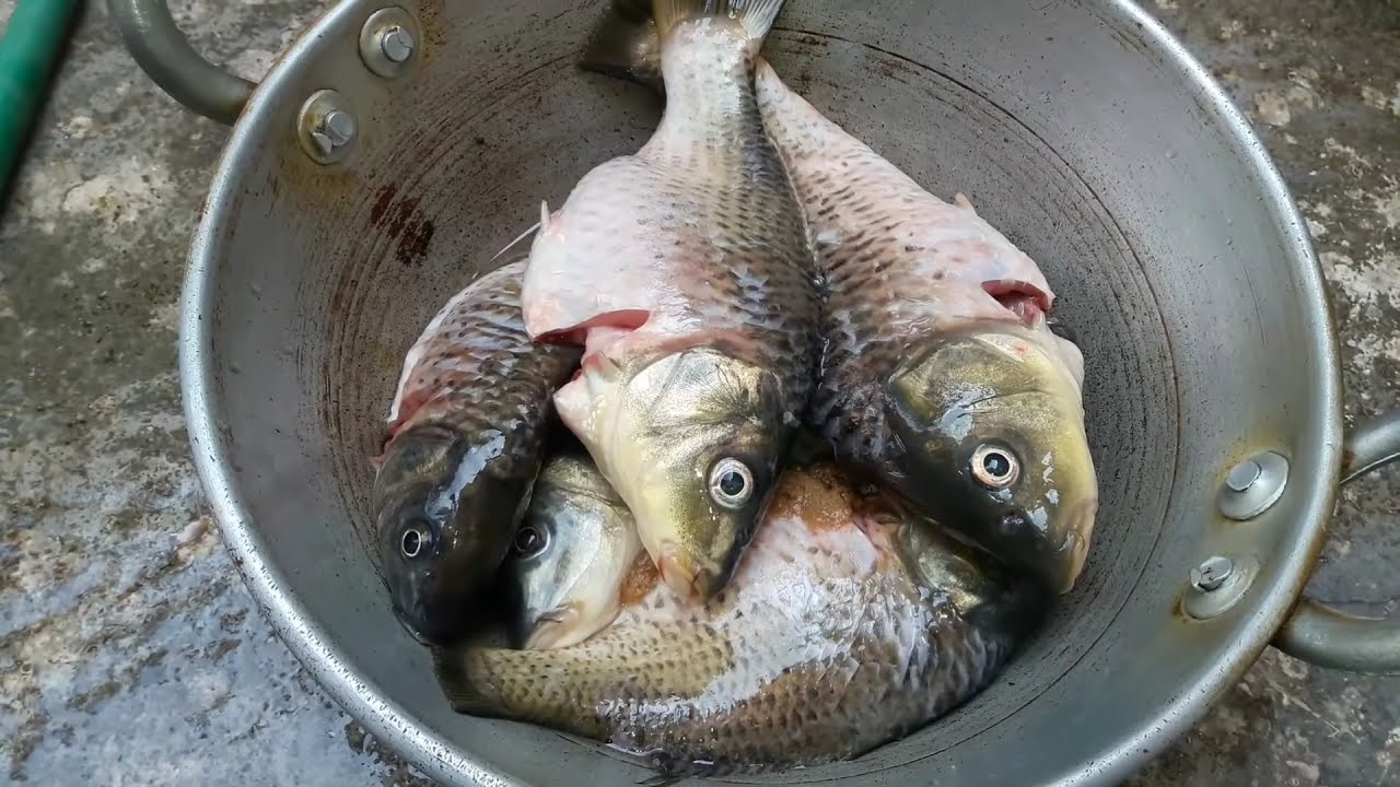 Special Clay pot Fish Curry | yummy Food - YouTube