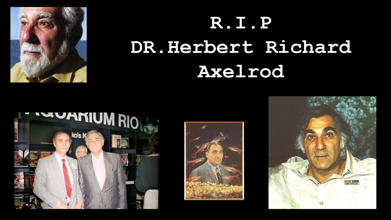 R.I.P Dr. Herbert Richard Axelrod - YouTube