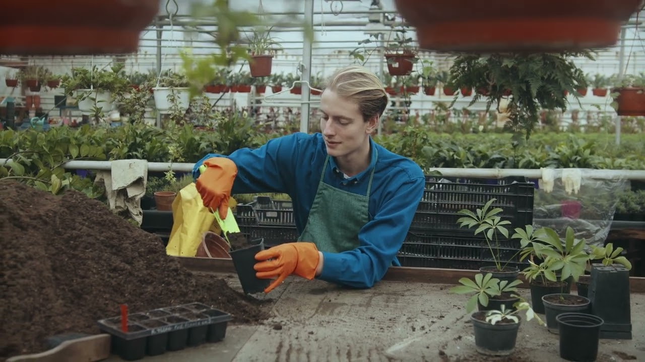 Nicholas Del Franco - YouTube