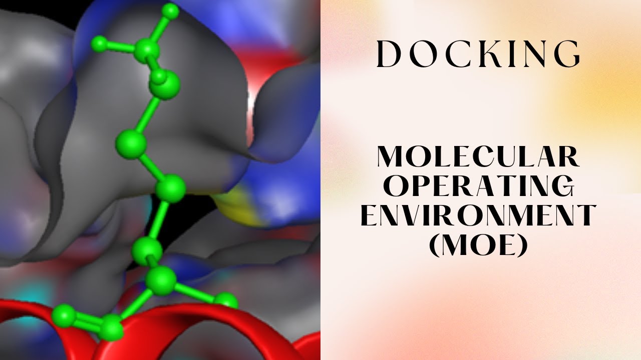 Docking | Molecular Operating Environment | Interaction between Ligand ...