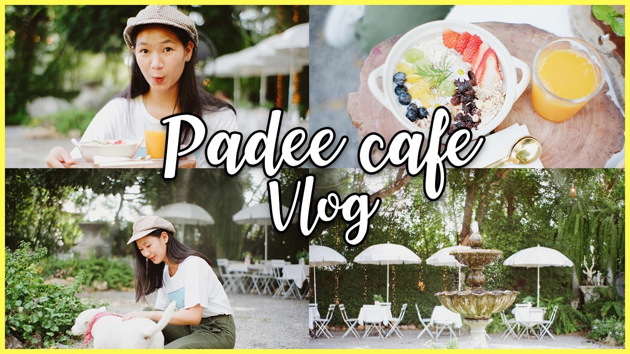 Review Padee Cafe สุดน่ารักแบบคึกคักคุคิ คิคิคุกคัก🌿 - YouTube