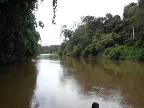 River flowing away - YouTube