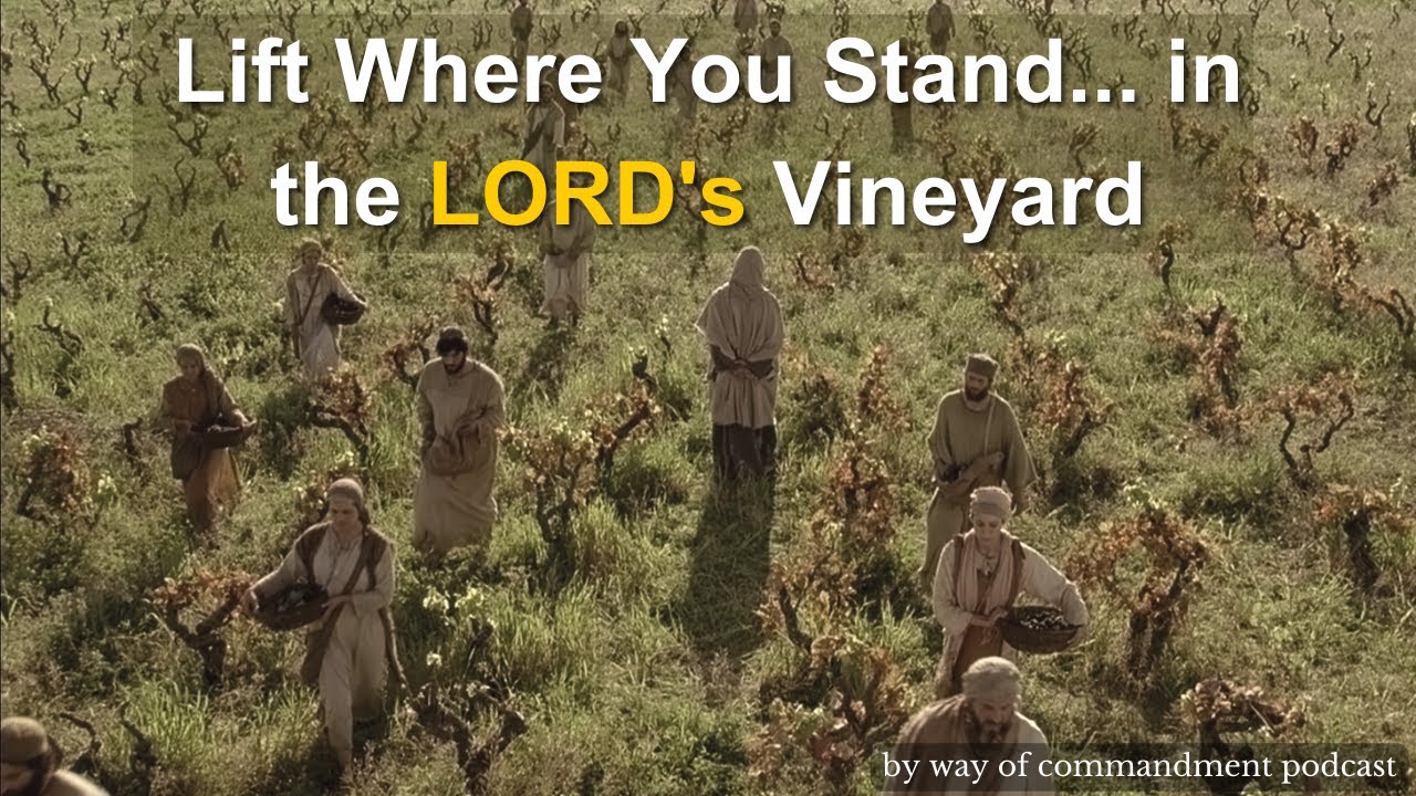 Lift where you stand...in the LORD's Vineyard w/ Joshua Erickson (clip ...