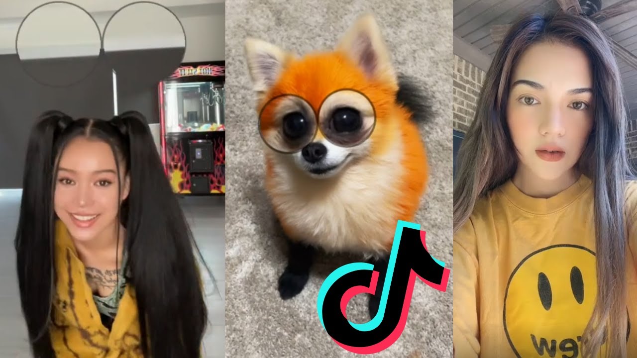 Viral Tik Tok 2021 | Hello My Name Is Suzie, That's Suzie With A 'Z ...